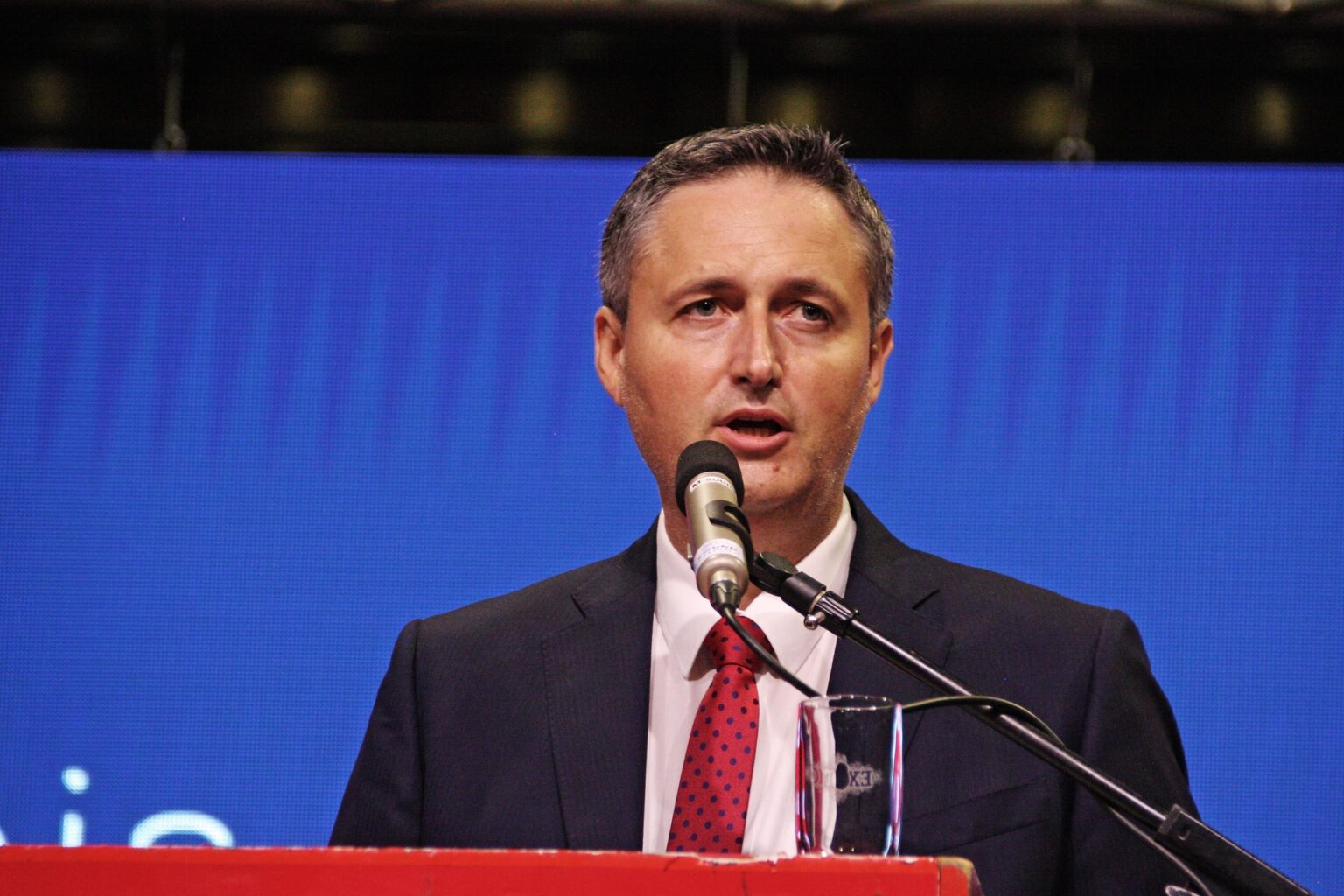 Denis Bećirović: Oružane snage BiH su garant sigurnosti i odbrane naše ...